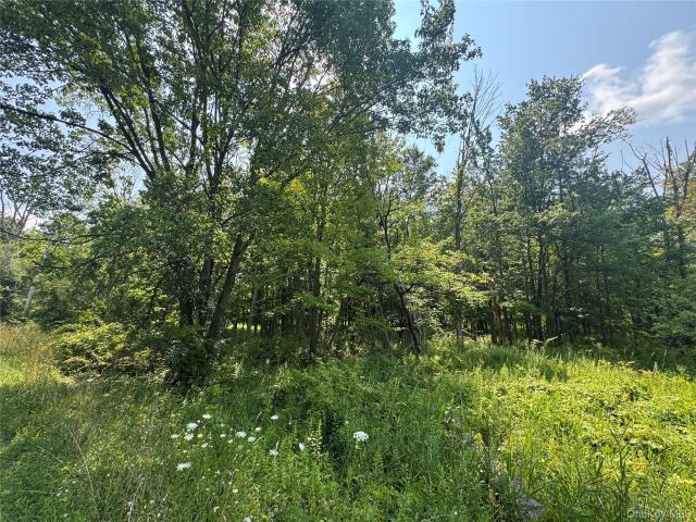 114 Highland Lake Road