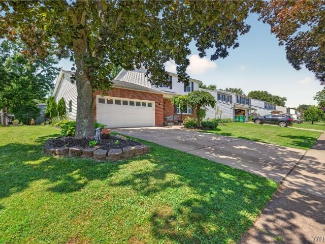 114 Meadow