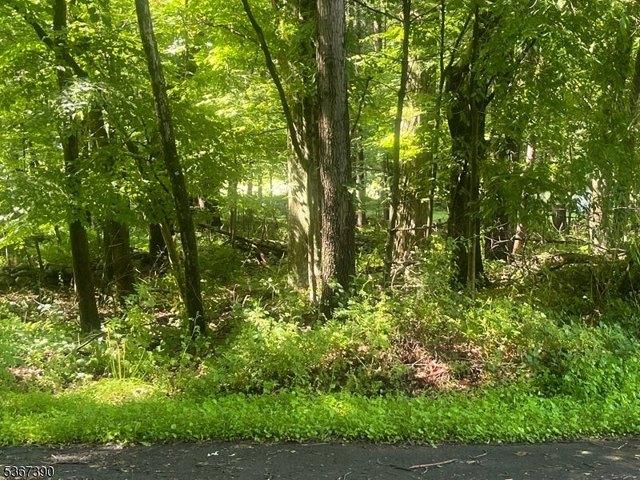 114 North Ct, Montague, NJ 07827