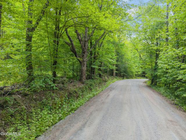 114 Stonewall Path & Brand Rd. Path