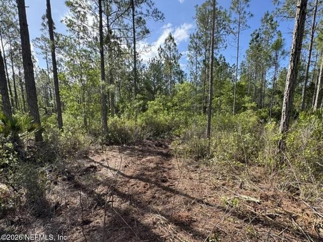 114 Womp Ln, Palatka, FL 32177