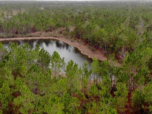 114 Widewater Cir, Wewahitchka, FL 32465 | MLS #783447 | Compass
