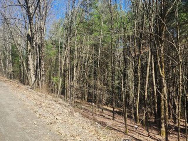 114 Tarbell Hill Rd, Deposit, NY 13745