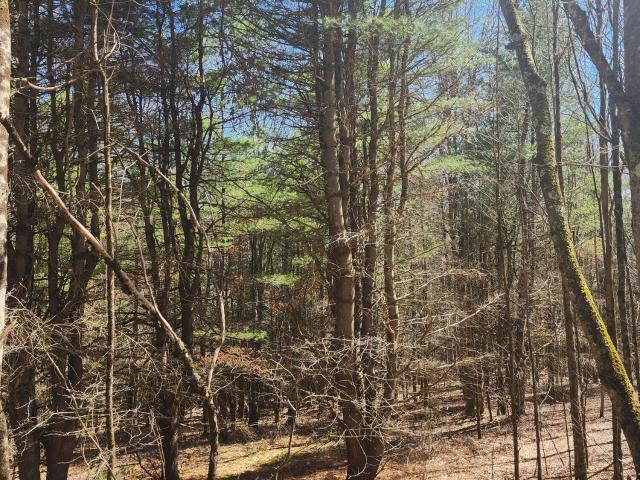 114 Tarbell Hill Road