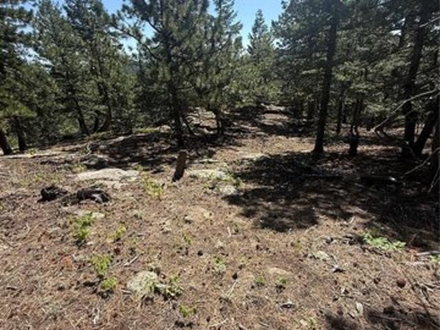 11548 Overlook Dr, Golden, CO 80403