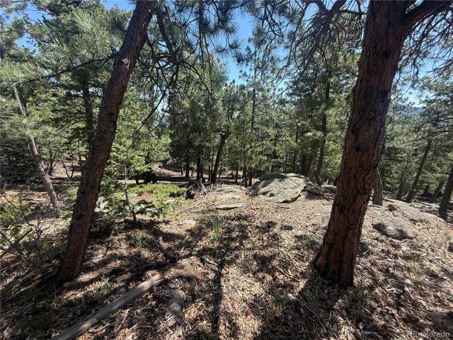11548 Overlook Drive
