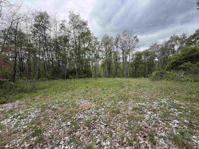 1154 Brady Gate Rd, Valley Head, WV 26294