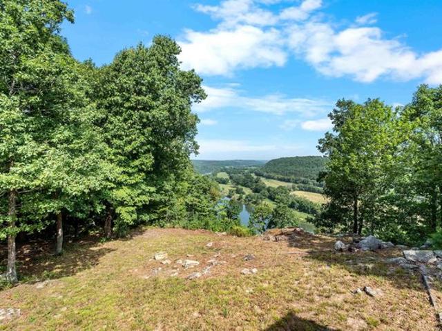 1154 Forest Home Ln, Calico Rock, AR 72519