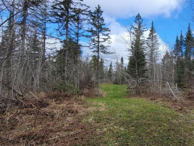 11553N County Highway A, Hayward, WI 54843