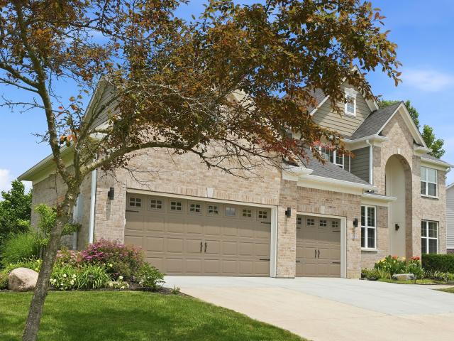 11550 Buckskin