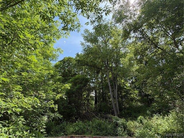 11557 Mill St, Portageville, NY 14536