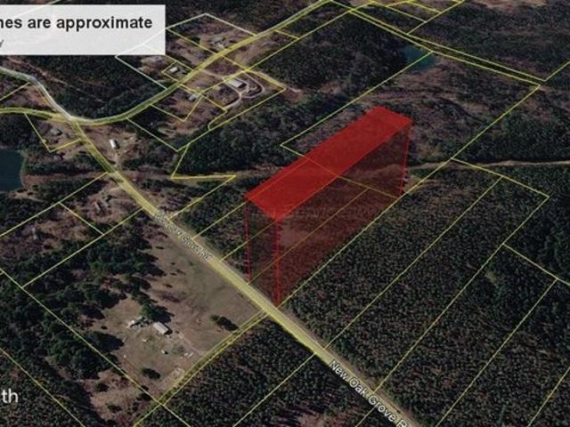 1155 New Oak Grove Rd, Nauvoo, AL 35578