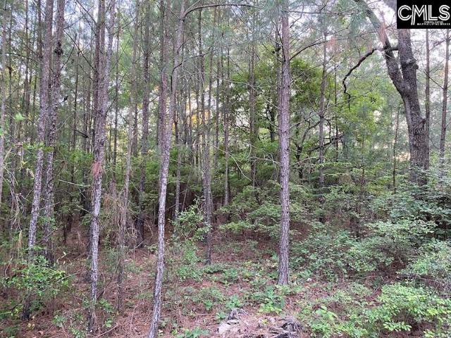 1155 Jones Wire Road