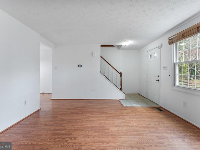 11562 Ivy Bush Court