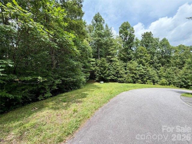 1156 Bear River Lodge Trl, Marshall, NC 28753