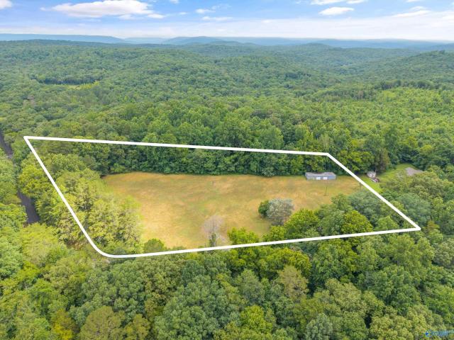 1156 Fish Trap Road