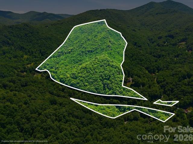 1158 Dark Ridge Rd, Sylva, NC 28779