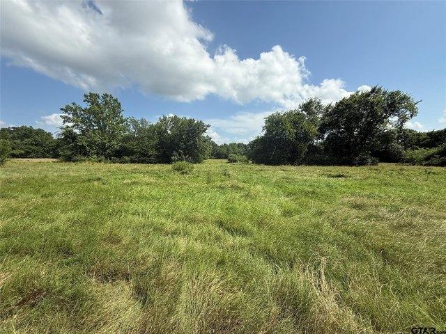 11591 2 S Farm Road 269, Pickton, TX 75471