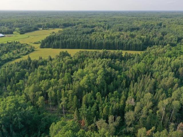 1159 Highway 83/Overton Rd, Meadowlands, MN 55765