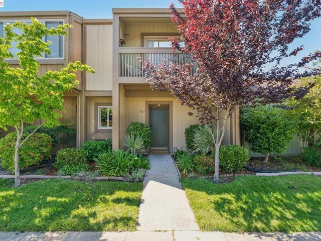 1159 Island Dr
