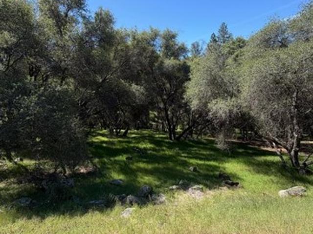 11500 Buckeye Cir, Penn Valley, CA 95946
