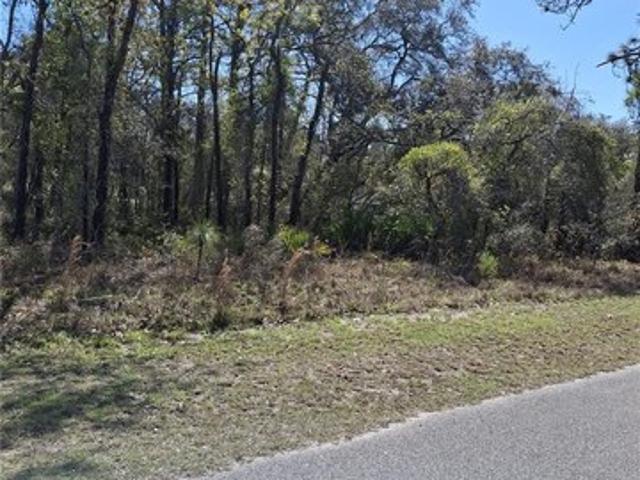 11500 Lomita Wren Rd, Weeki Wachee, FL 34614