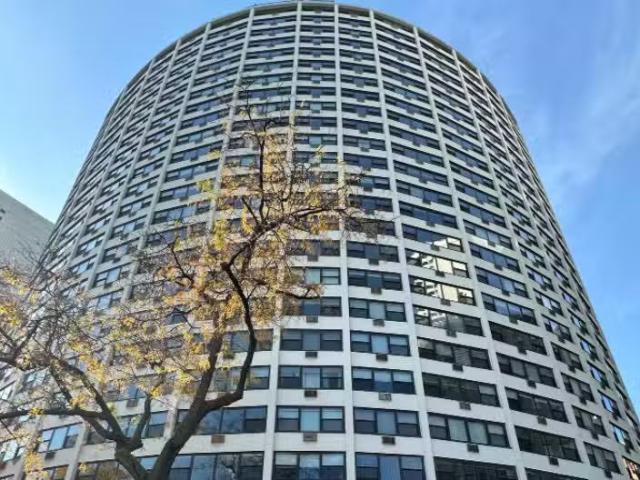 1150 N Lake Shore Dr #24H, Chicago, IL 60611 MLS 12194235