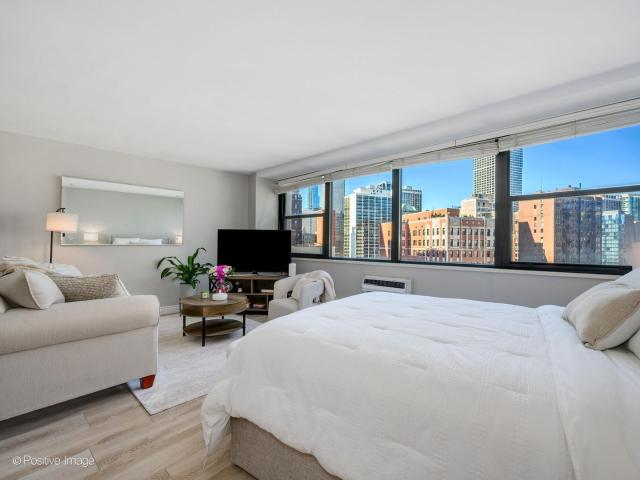 1150 N Lake Shore Drive # 13L