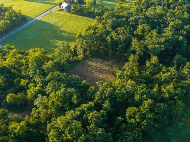 1150 Bullfrog Road