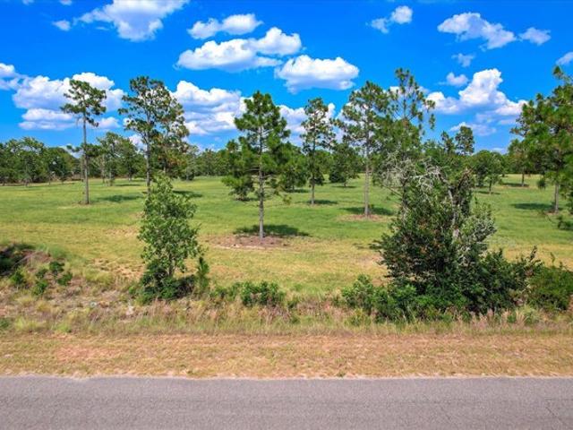 1150 Bethcar Church Rd, Wagener, SC 29164