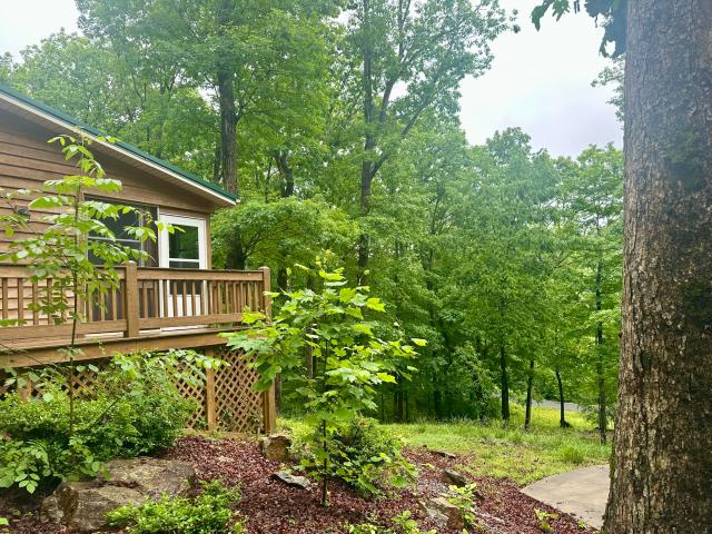 1150 Haynes Knob Road
