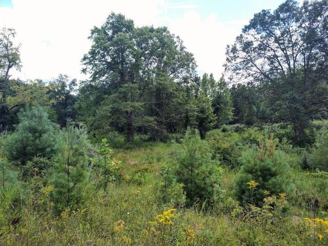 1150 Logan Hollow Road