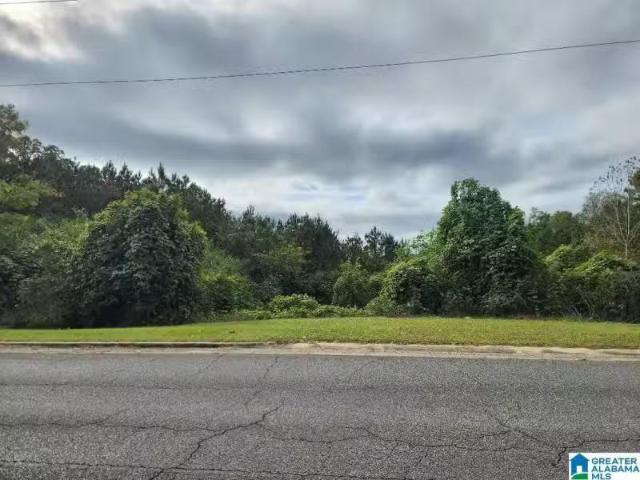 1150 RED FARMER DR, HUEYTOWN, AL 35023 Vacant Land For Sale M.