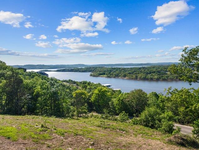 1150 Skylee Dr, Hollister, MO 65672