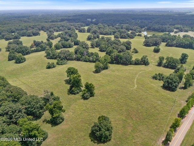 1150 Veazey Rd, Coldwater, MS 38618