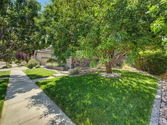 11511 Chambers Drive