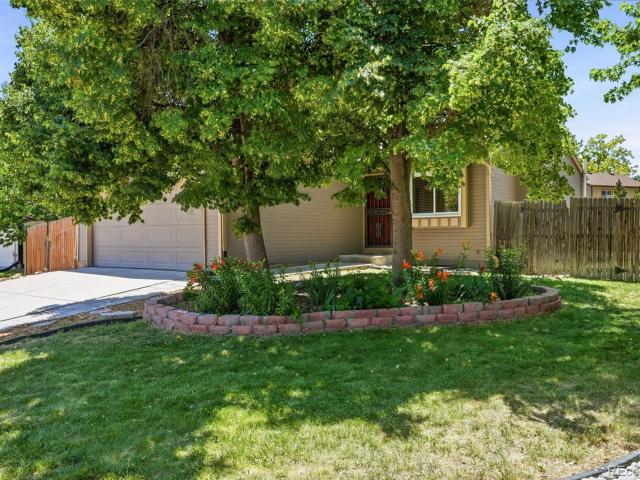 11519 Kendall Street