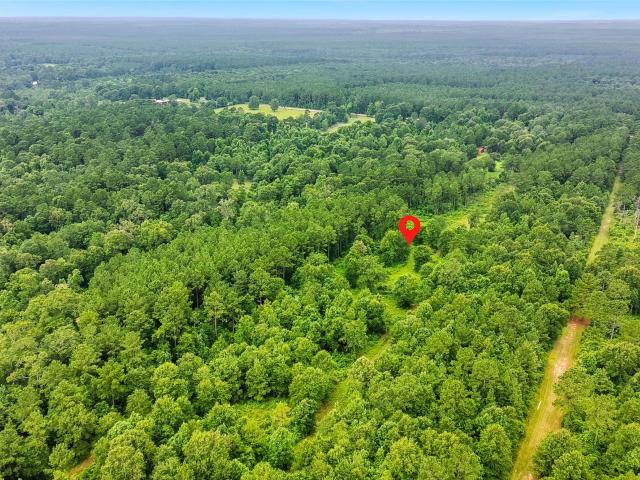 1151 County Line Road