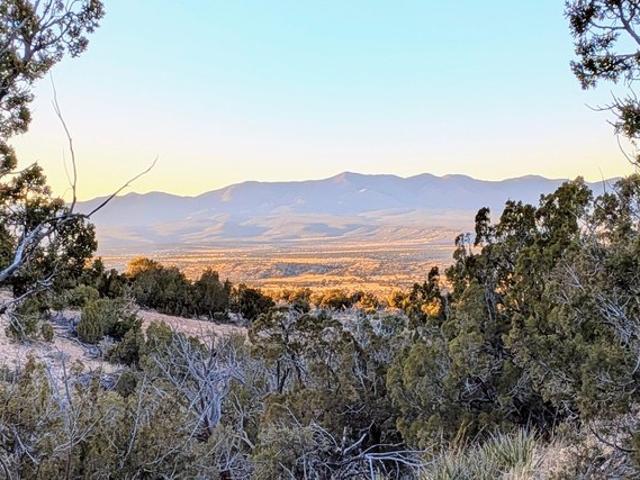 1151 Deer Canyon Trl, Mountainair, NM 87036