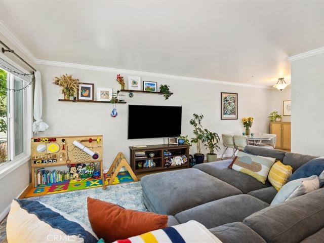 1151 Laurel