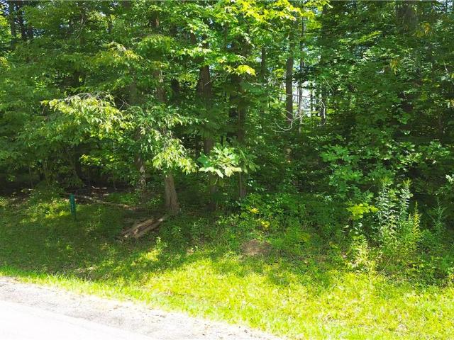 1151 Laurel Drive