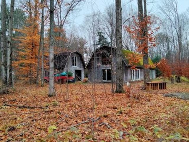 1152 Old School Rd, Indian River, MI 49749