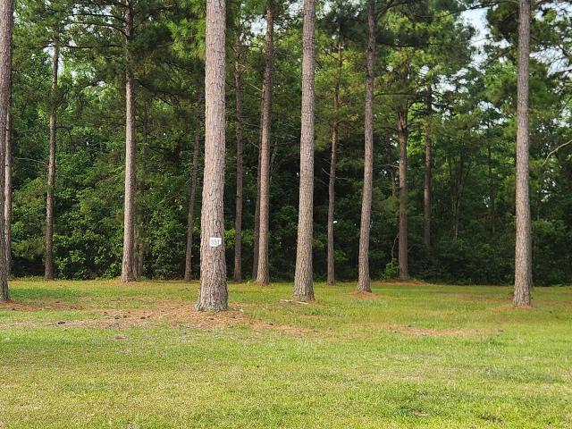 1152 Fiddlehead Way