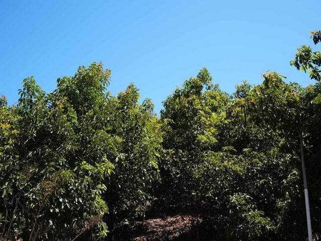 1152 Tarek, Vista, CA 92084