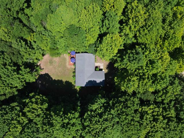 11530 S Benzonia Trail
