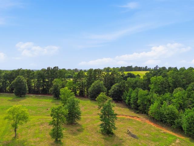 115355 & 115353 County Road 2501