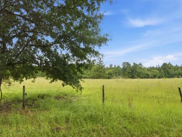 115355 and 115353 County Road 2501, Alto, TX 75925