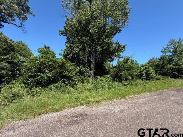 1153 County Road 342 S, Henderson, TX 75654