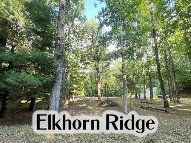 1153 Elkhorn Ridge Dr Lot 44, Franklin, NC 28734