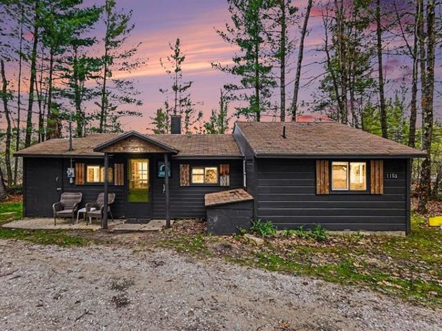 1153 W Channel St, Bitely, MI 49309